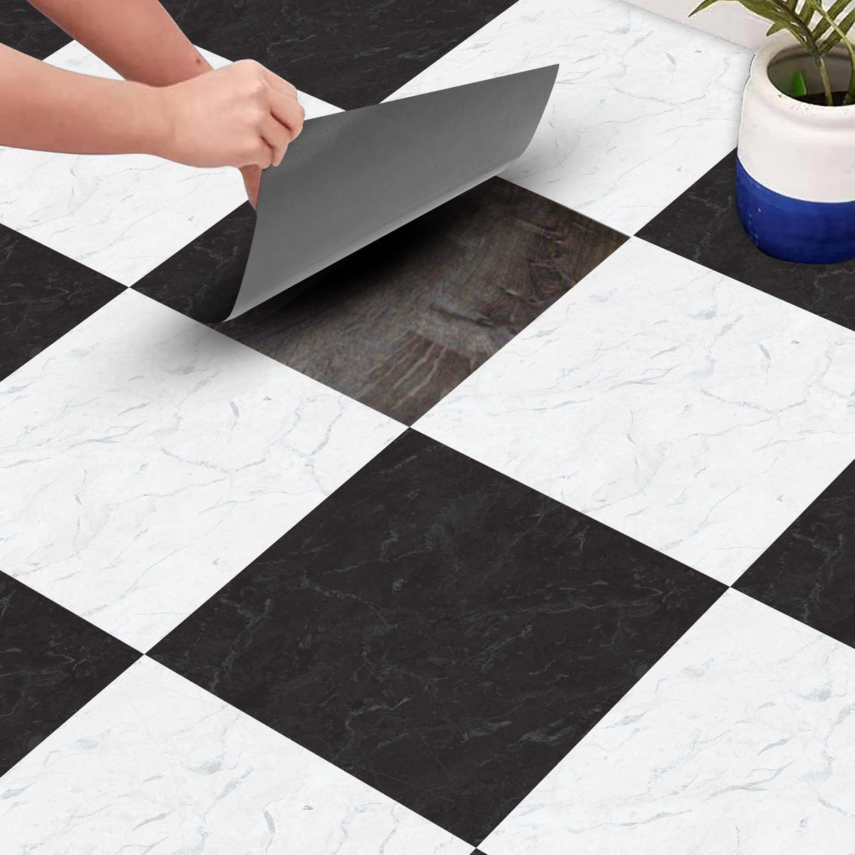 CHECKERED – Art Infynyty